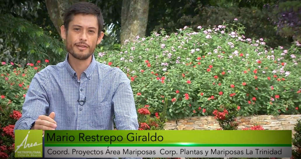 Páginas - Área de mariposas