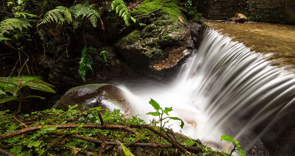 El Agua Es Vida Cuidala Version Corta Youtube