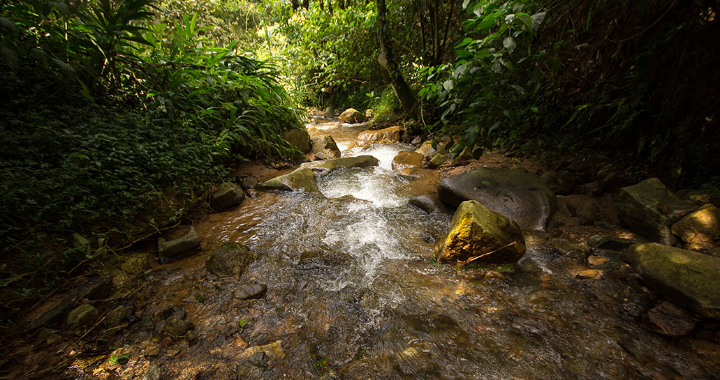 Páginas - Avanza el cuidado del recurso hídrico a través del Plan Quebradas